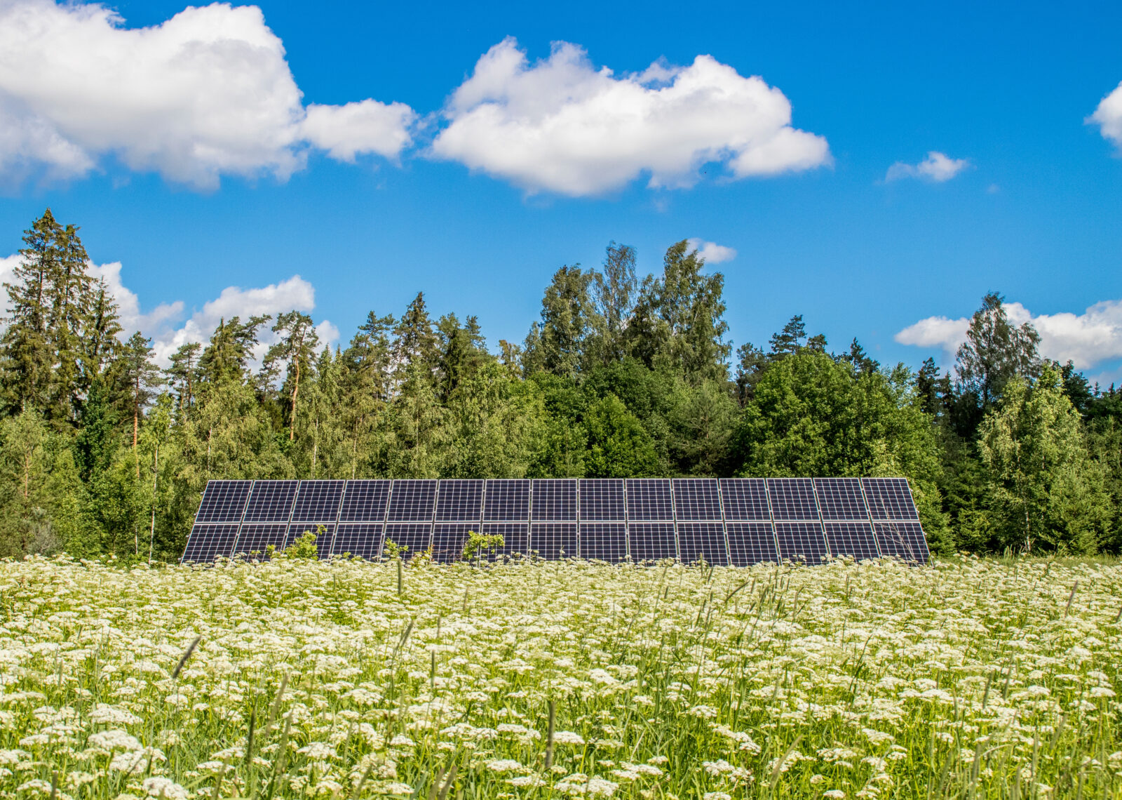 MWCD launching solar projects to reduce energy bills and carbon ...