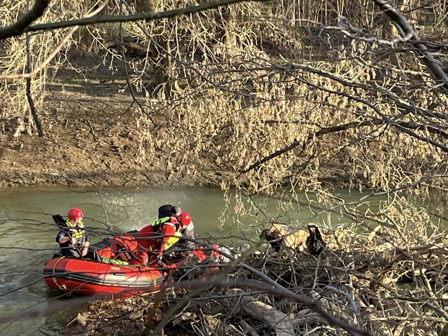 Firefighters rescue dogs stuck on Stillwater Creek - WJER Radio 100.9FM ...