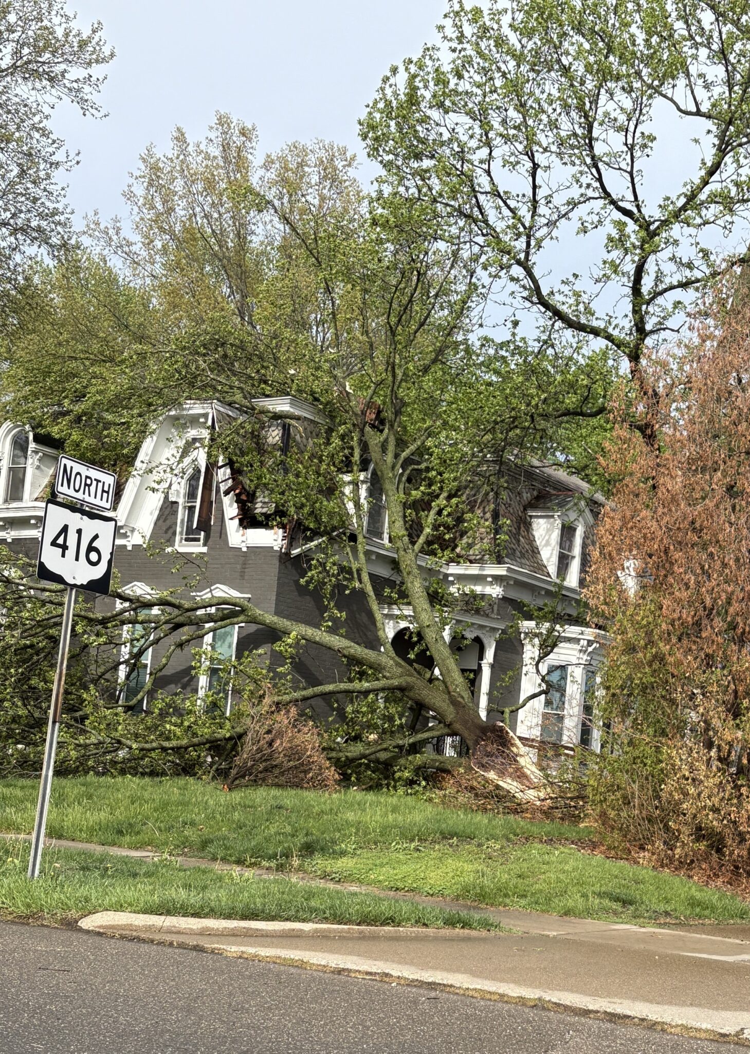 Tuesday storms crash trees and sever power - WJER Radio 100.9FM & 1450AM